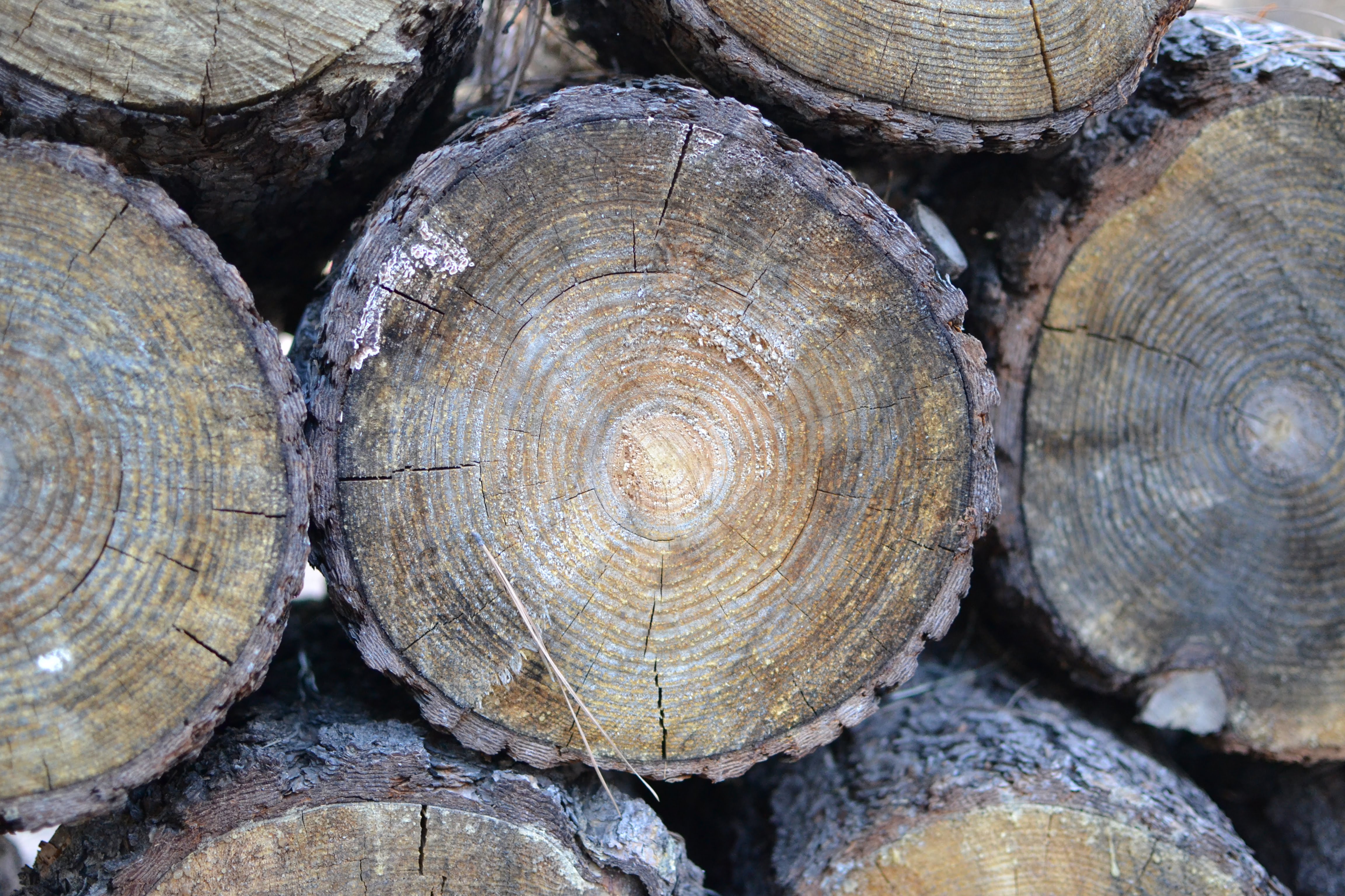 Chop Wood, Carry Water – Justin Williams